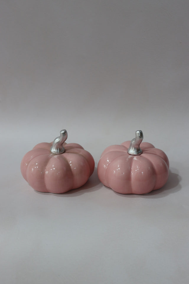 Pink & Silver Pumpkin Set – Pretty Little Home